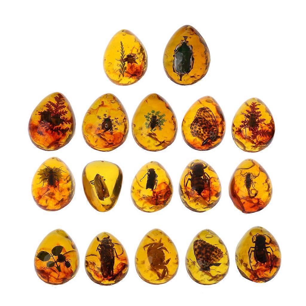 Animals Amber for Butterfly Insects Stone Pendant Necklace Gemstone for ...