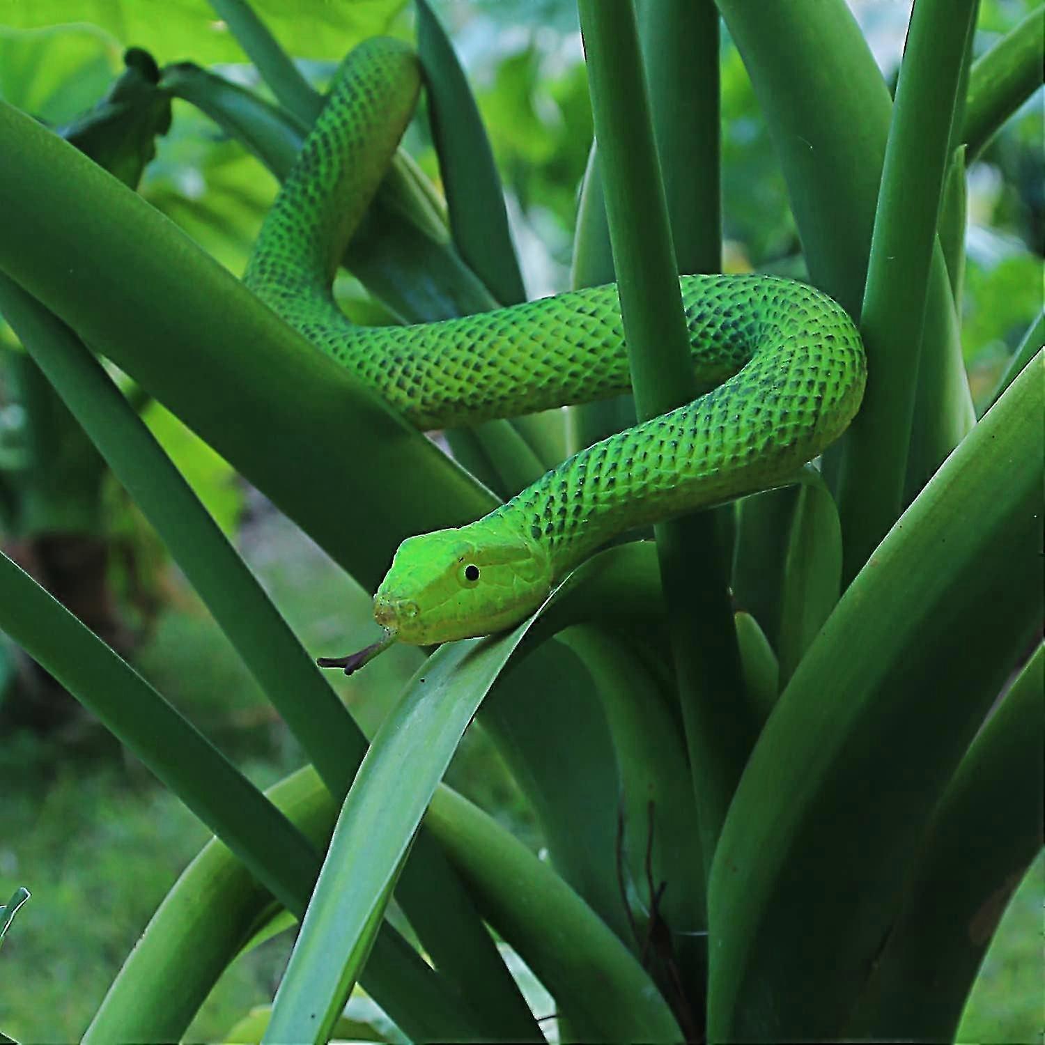 Realistic Fake Snakes Toy Soft Rubber Snake Figure Garden Snake Scare ...