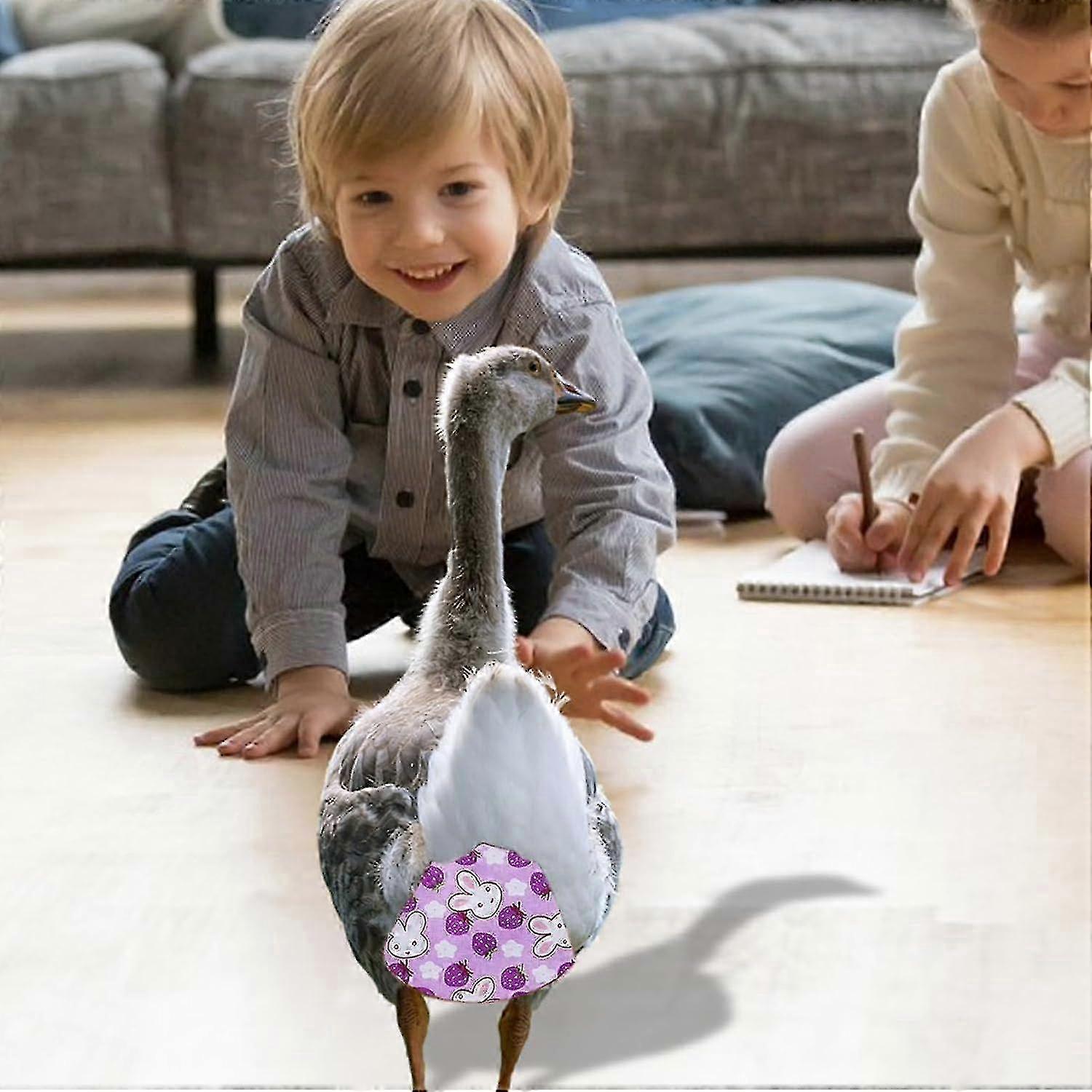 Pet Chicken Diapers Duck Diapers For Pet Ducks, Reusable Goose Clothes ...