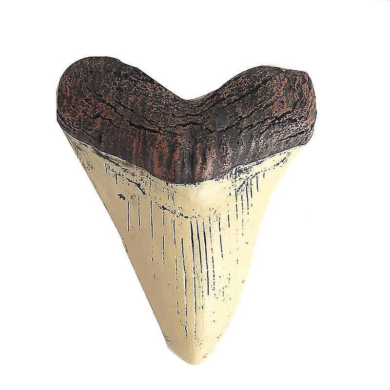 Megalodon Tooth Fossil Giant Tooth Megalodon Tooth Resin Replica ...