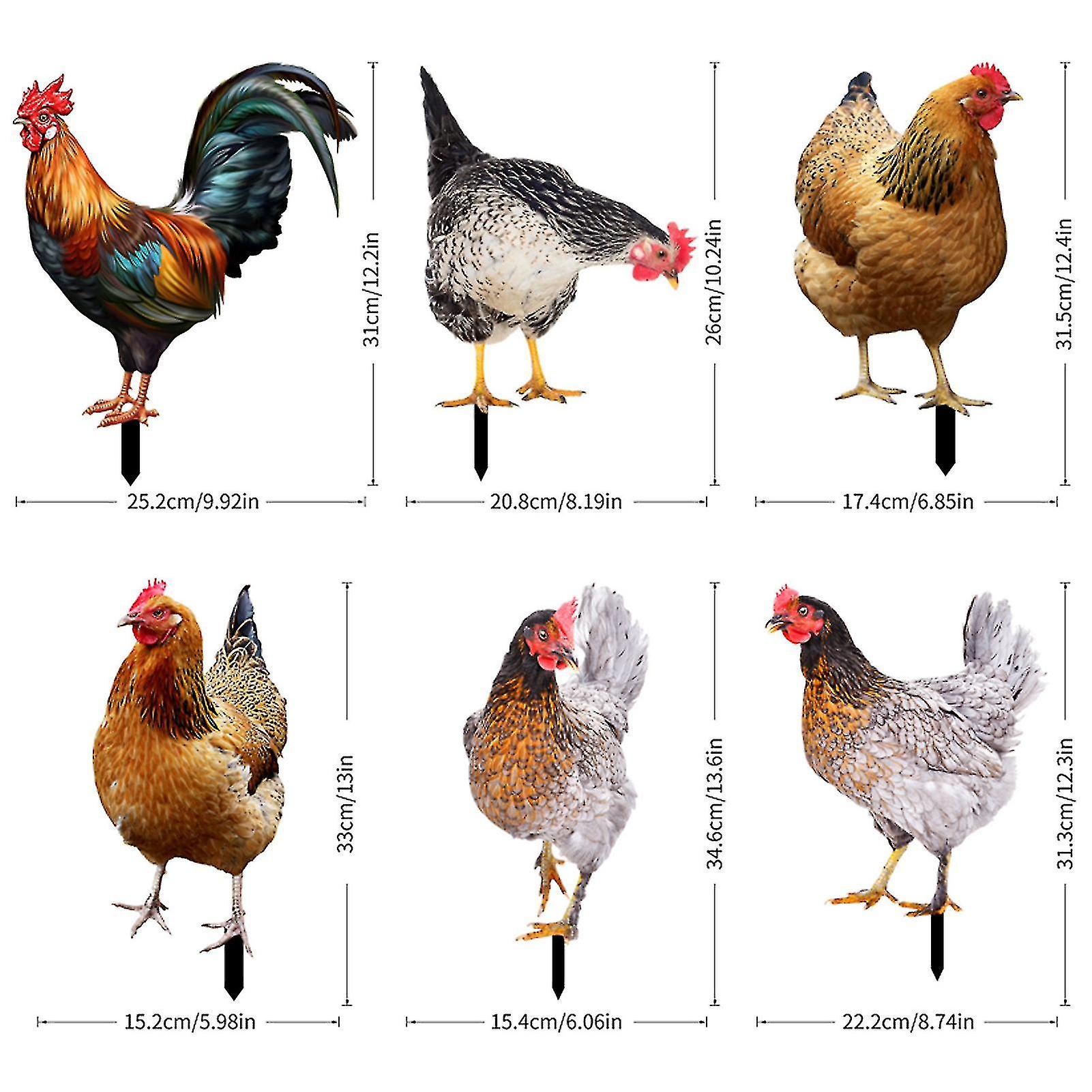 Rooster Decor Realistic Life-like Ornamental Double-sided Printing ...
