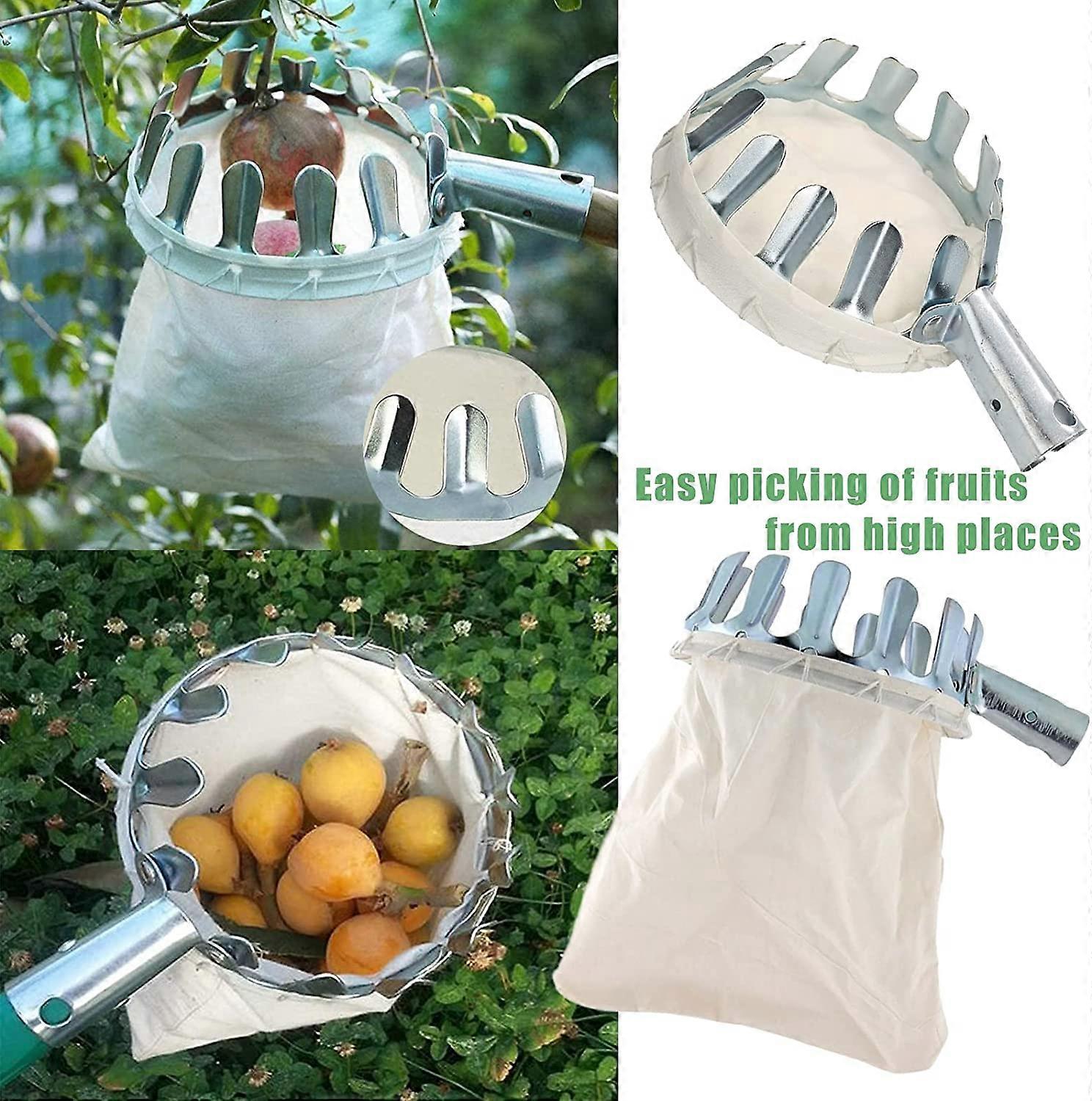 Fruit Picker, 1 Fruit Collector, Metal Fruit Picker, Fruit Picker with ...