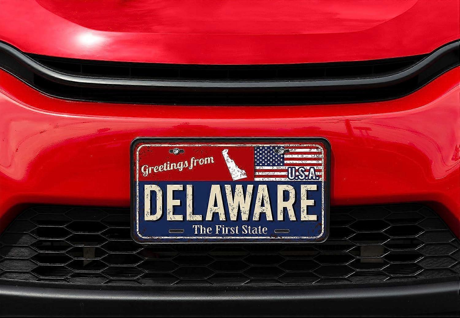 License Plate Baby Sea Turtles Decorative Car Front License Plate ...