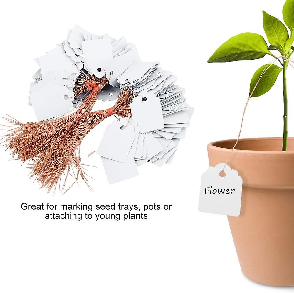 200pcs PVC Plant Tags Hanging Flower Seed Name Label Tag Marker Sign ...