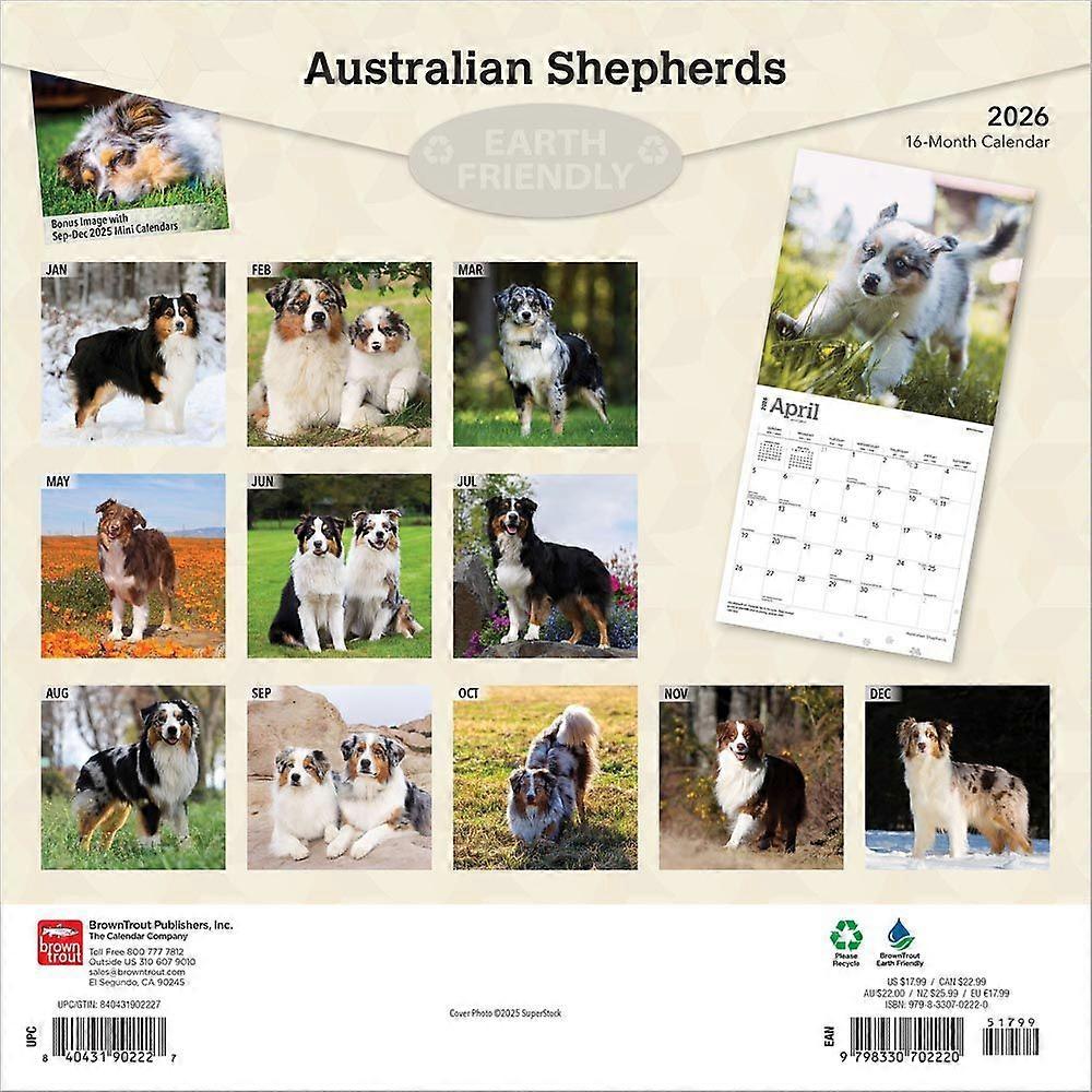 Browntrout Australian Shepherd Kalender 2026 | Fruugo US