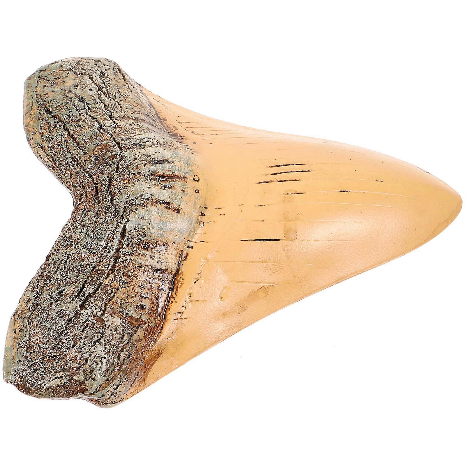 Fossilized Prehistoric Shark Teeth Realistic Shark Teeth Decoration ...