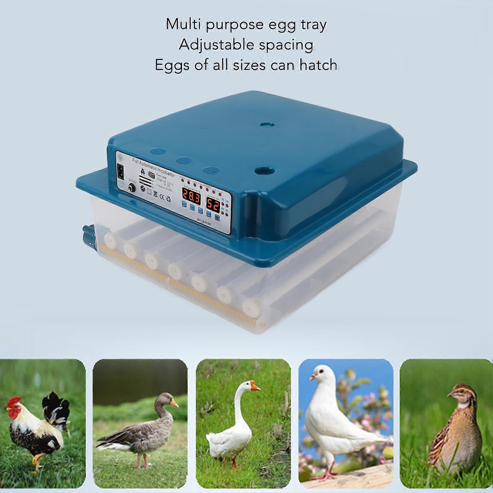 36pcs Single Electric Eggs Incubators Fully Automatic Thermostat ...