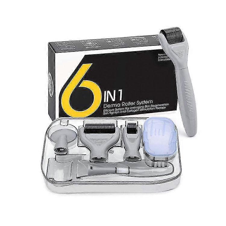 6 In 1 Derma Roller Kit Needle Skin Care Face Hair Growth Stimulation ...