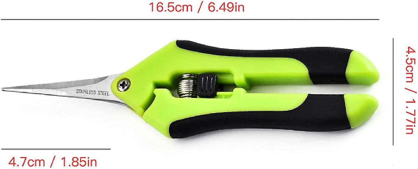 Stainless Steel Garden Pruner For Arranging Flowers, Cutting Hydroponic ...