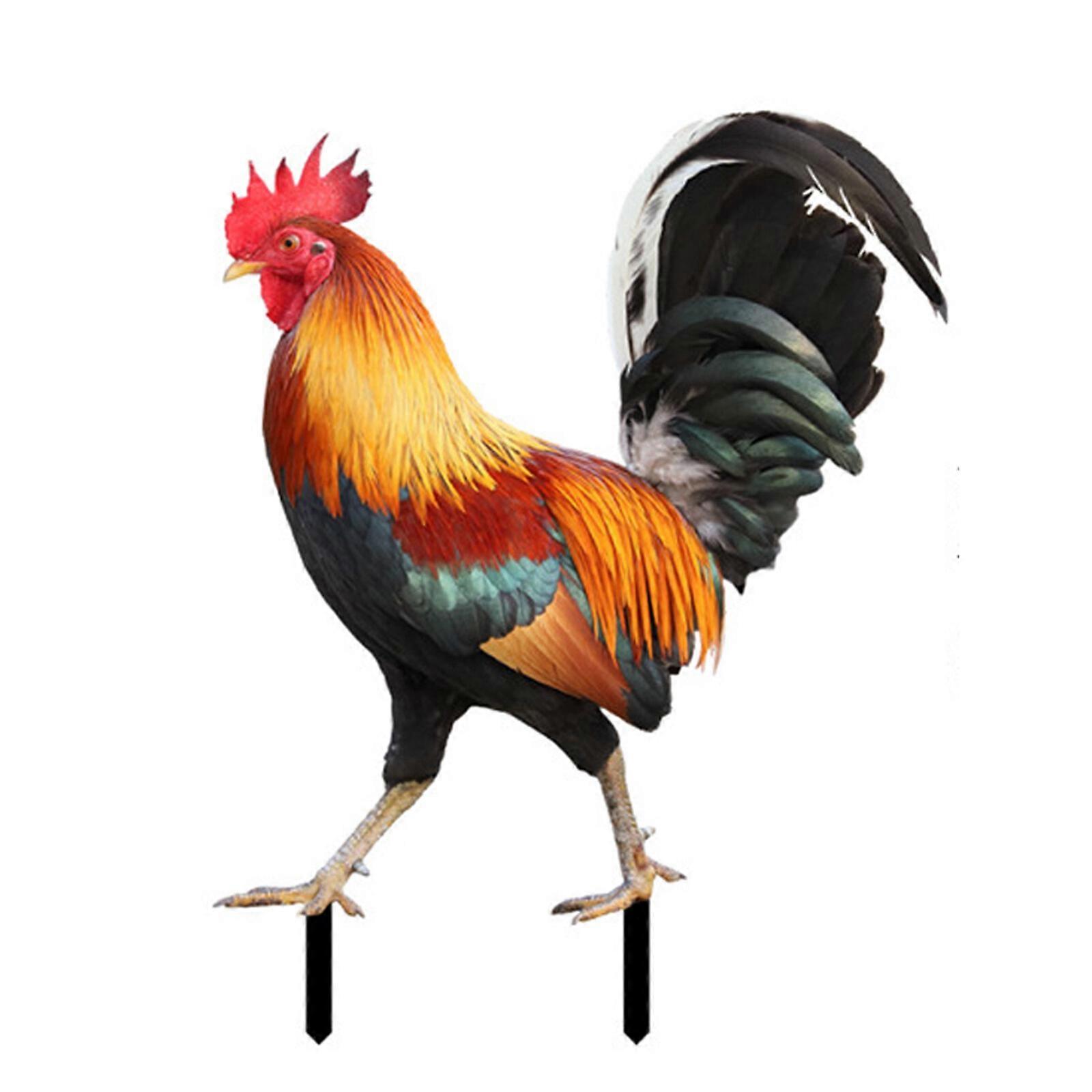 Large Metal Chicken Hen Cockerel Rooster Garden Ornament | Fruugo UK