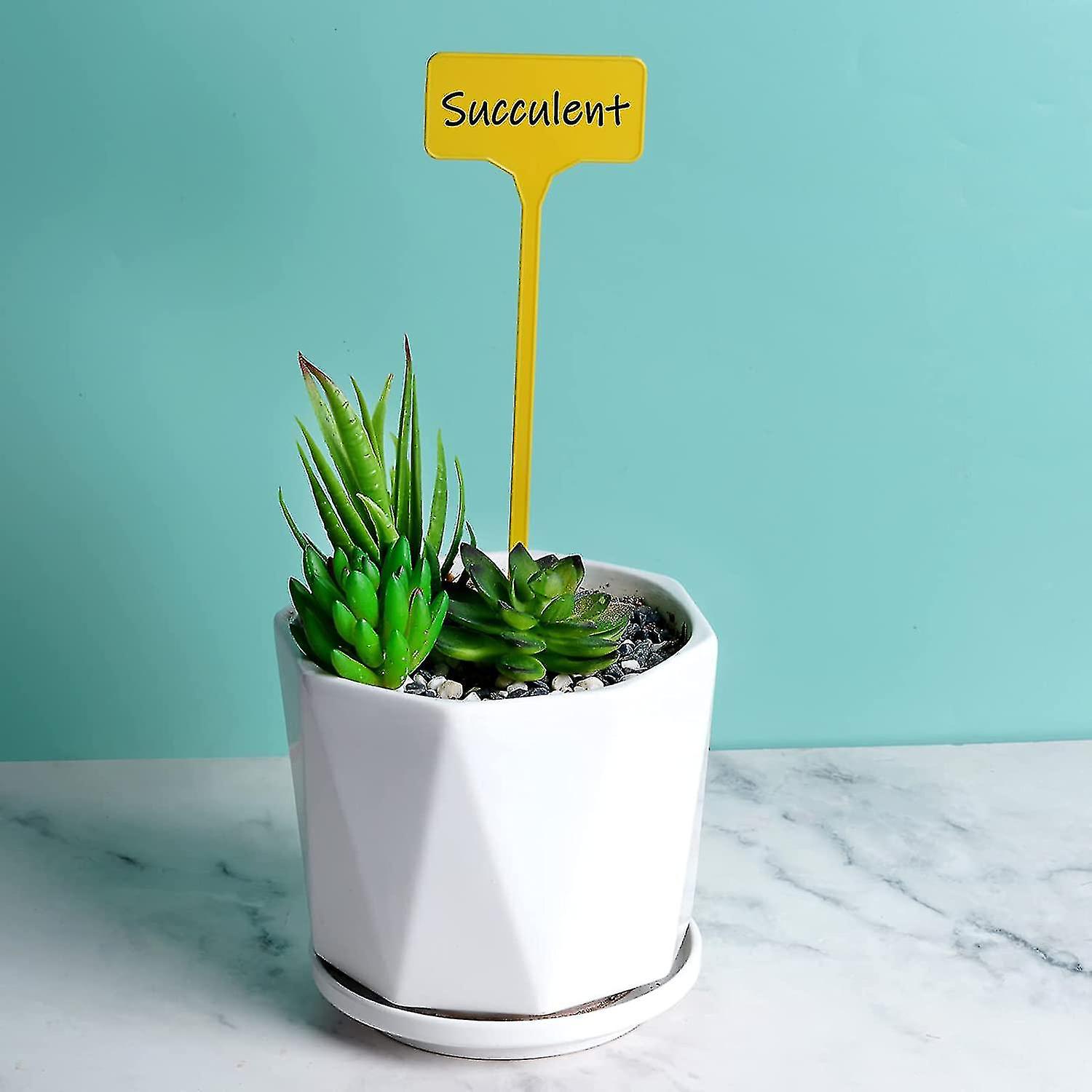 50 Pack Outdoor Tall Plant Labels, Large Waterproof Plastic Plant T ...