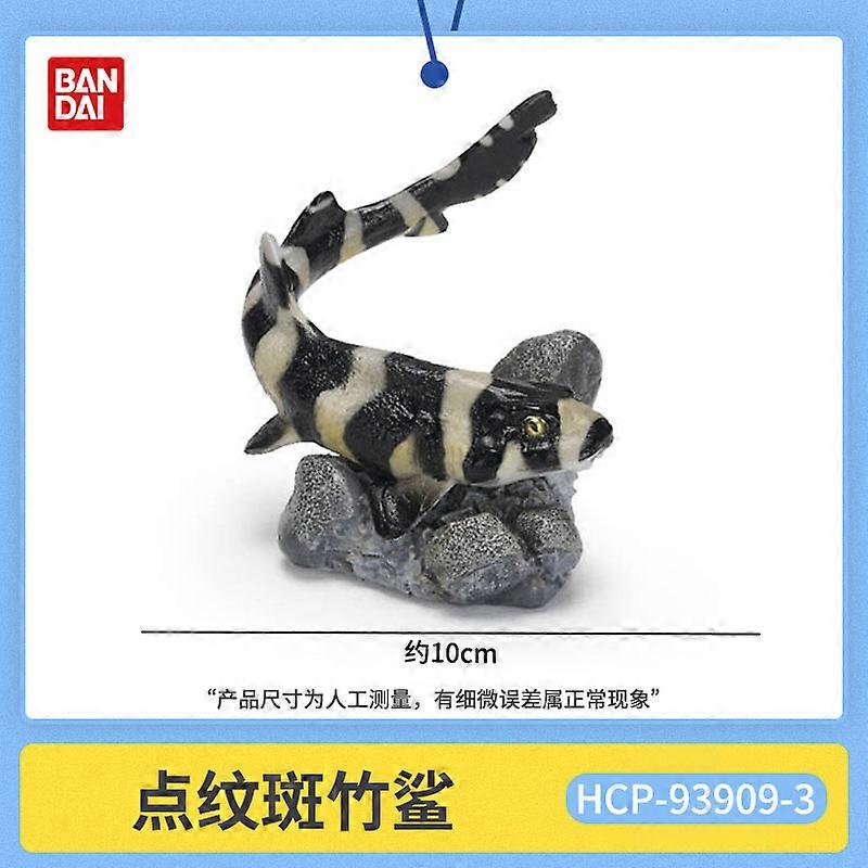 BANDAI Mini Haai Gashapon Ei Grote Biologische Kaart Van Carcharodon ...