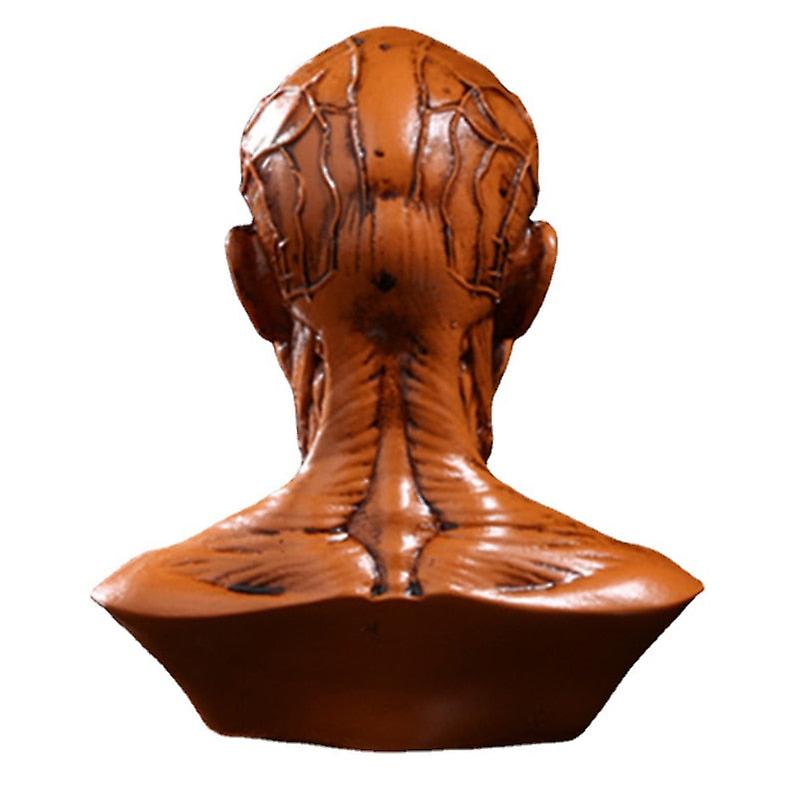 Human Muscle Skeleton Head Model Muscle Head Skull Anatomy Art Sketch ...