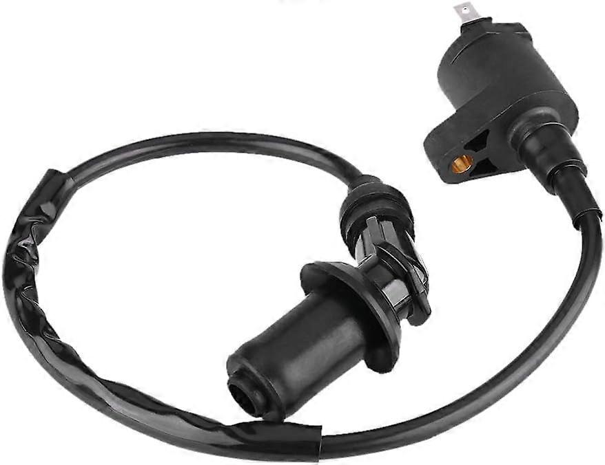(Black) Ignition Coil Spark Plug Motorcycle Ignition Coil For GY6 50CC ...