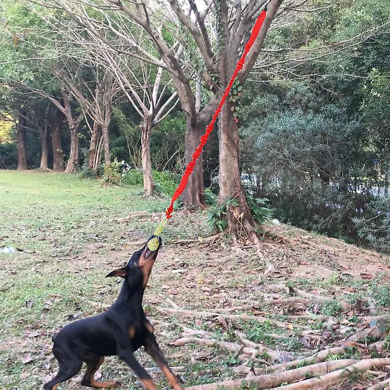 Outdoor Indoor Dog Teeth Sharpening Teeth Cleaning Bite Rope Toys ...