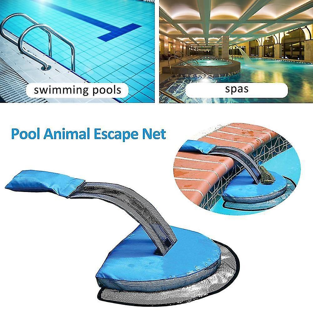 Animal Save Escape Ramp Saving Swimming Pool Rescue Critter Swimline ...