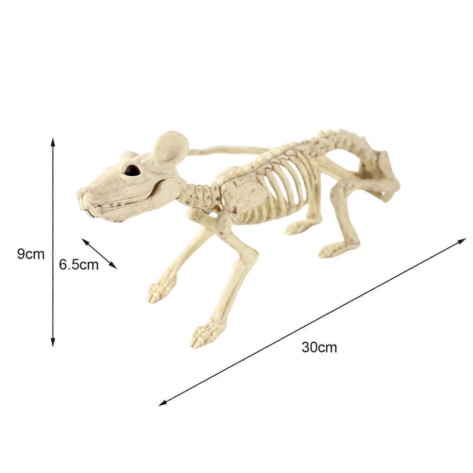 Halloween Decoration Mini Skeleton Bone Statues Poseable Rat Dog Spider ...
