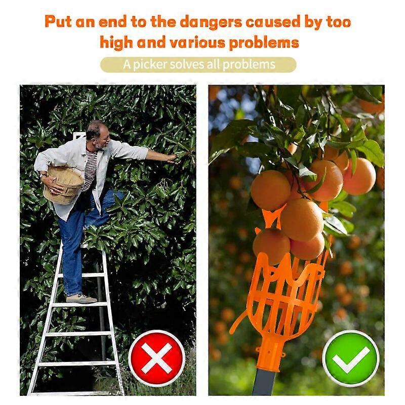 Garden Fruit Picker Head Orchard Apple Pears Orange High Tree Picking ...