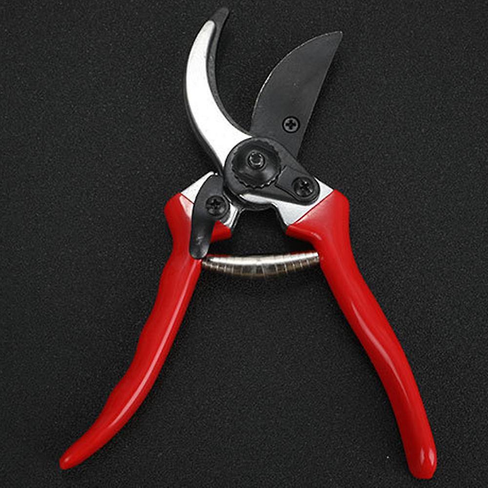Pruning Snips - Floral Scissors And Bypass Pruners - Precise Pruning ...