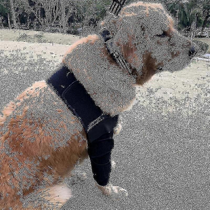 Dog Elbow Brace Protector Pads Breathable Support for Elbow Hygroma ...