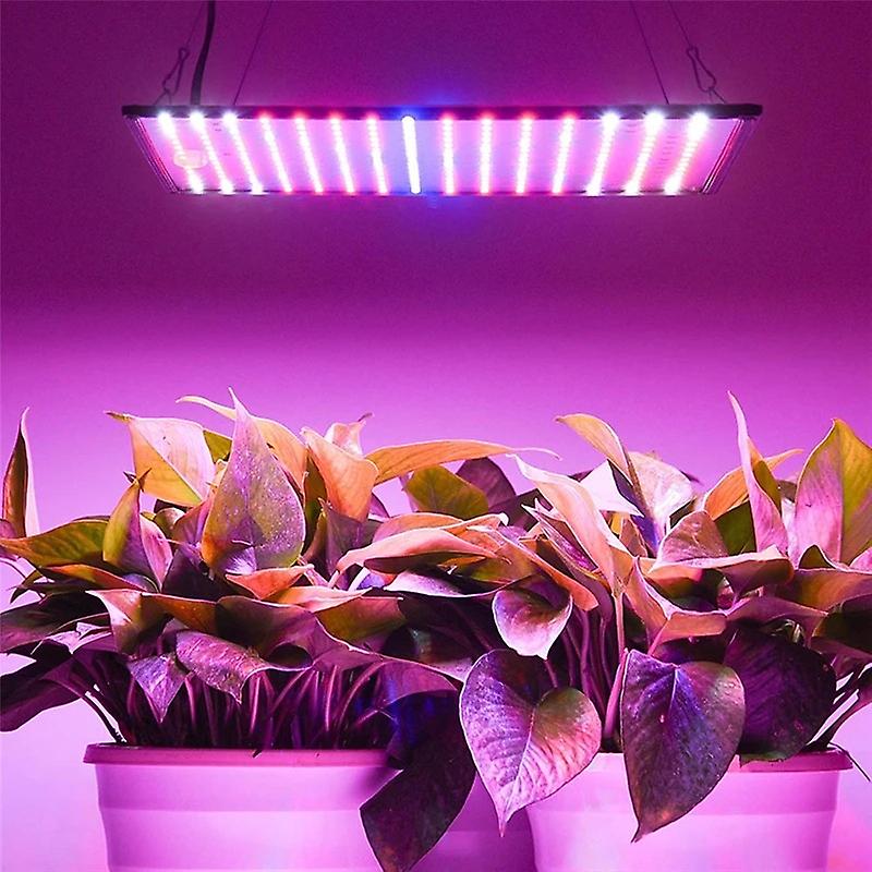 Horticultural LED Grow Light,LED Grow and Flower Grow Light, Full ...