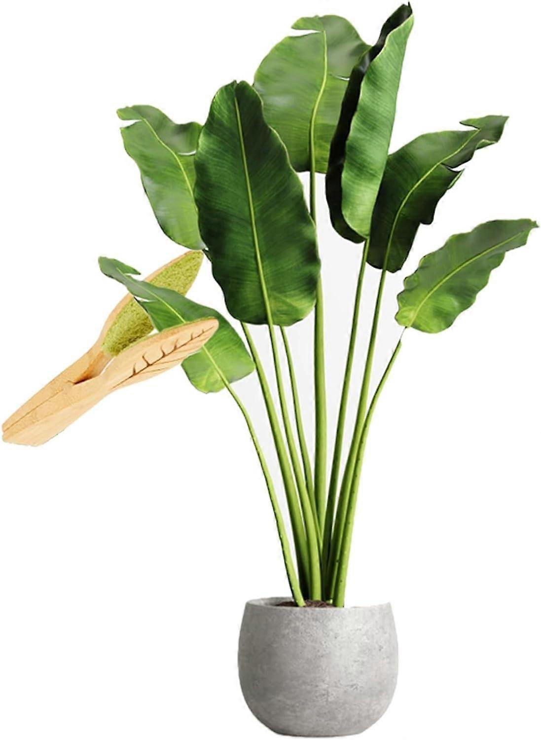 Leaf Cleaning Tongs, Plant leaf Lint Cleaner with Wood Handle, Plant ...