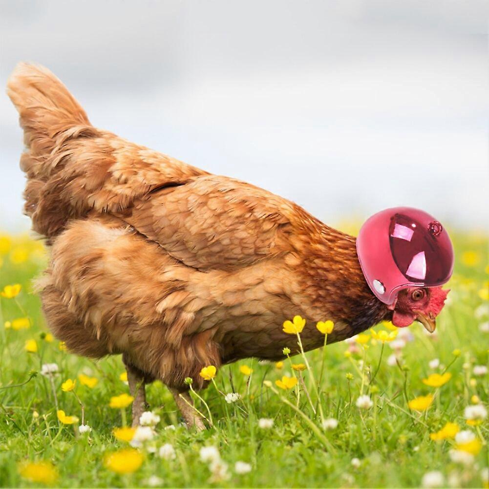 Pet chicken head helmet small pet poultry duck headdress hat protective ...