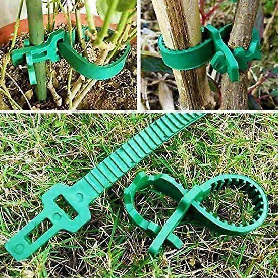 10Pcs Reusable Adjustable Tree Fixing Buckle Plastic Climbing Plants ...
