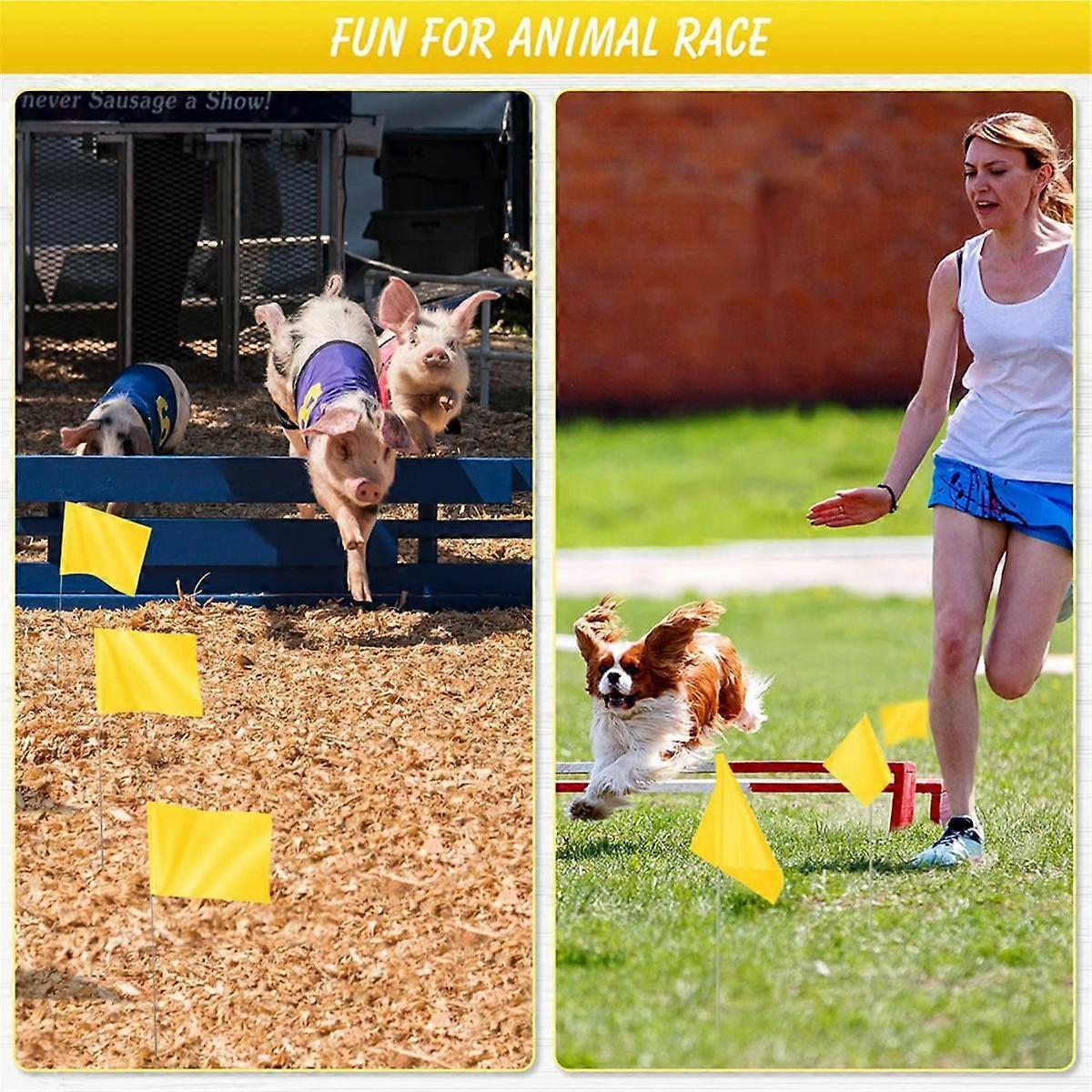 Marking Flags Marker Flags for Lawn 30 Pack, PVC Small Flags,Marking ...