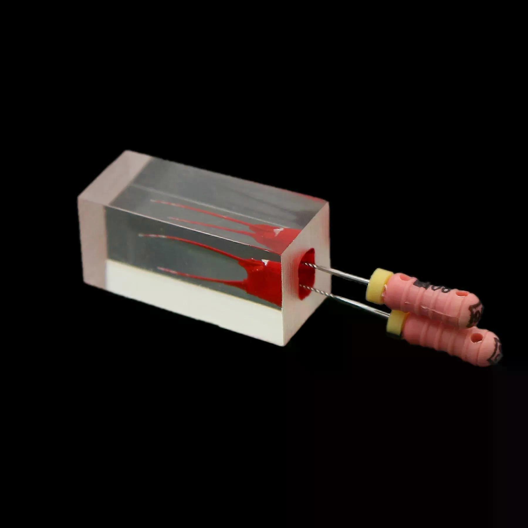 Gaibosi 5Pcs Dental Endodontic Root Model with Clear Resin Canal Block ...