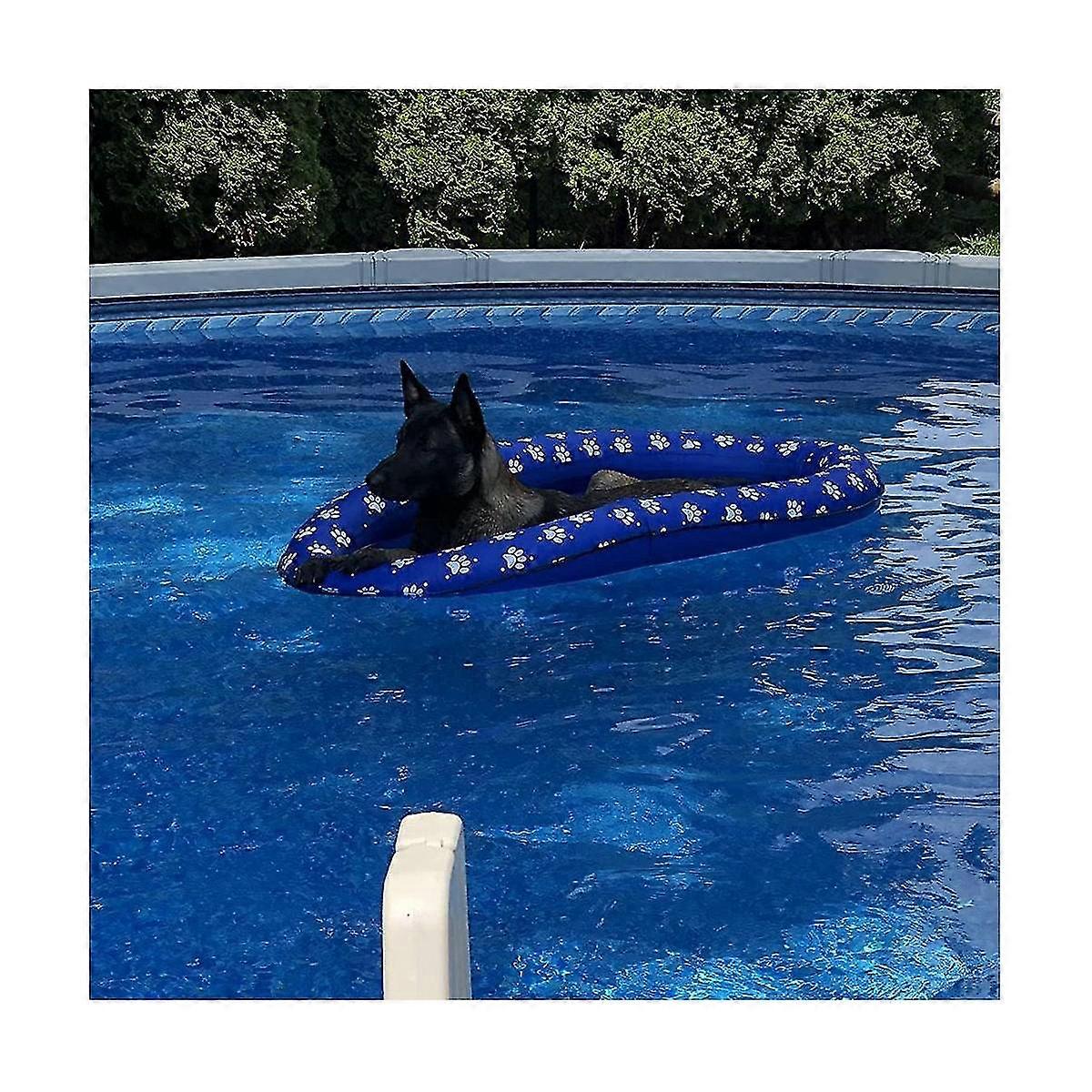 Inflatable Pool Float For Dog And Puppies, Big Contemporary Kitty ...