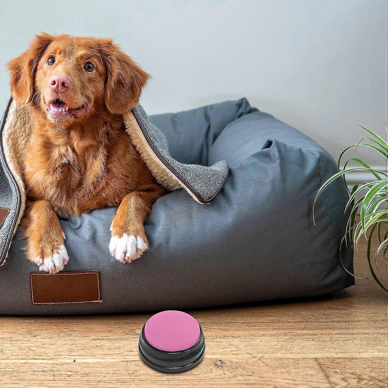 Recordable Sound Button Communication Interactive Toy Recorder Playback ...