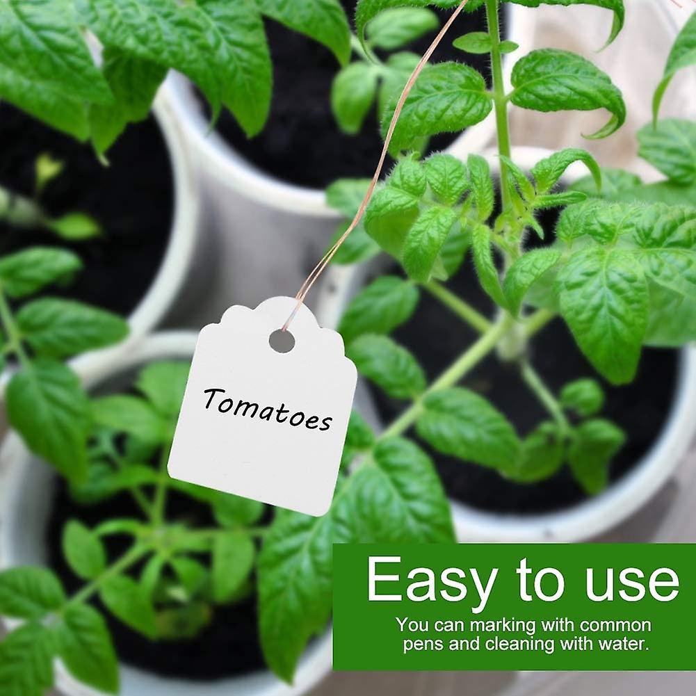 200pcs PVC Plant Tags Hanging Flower Seed Name Label Tag Marker Sign ...