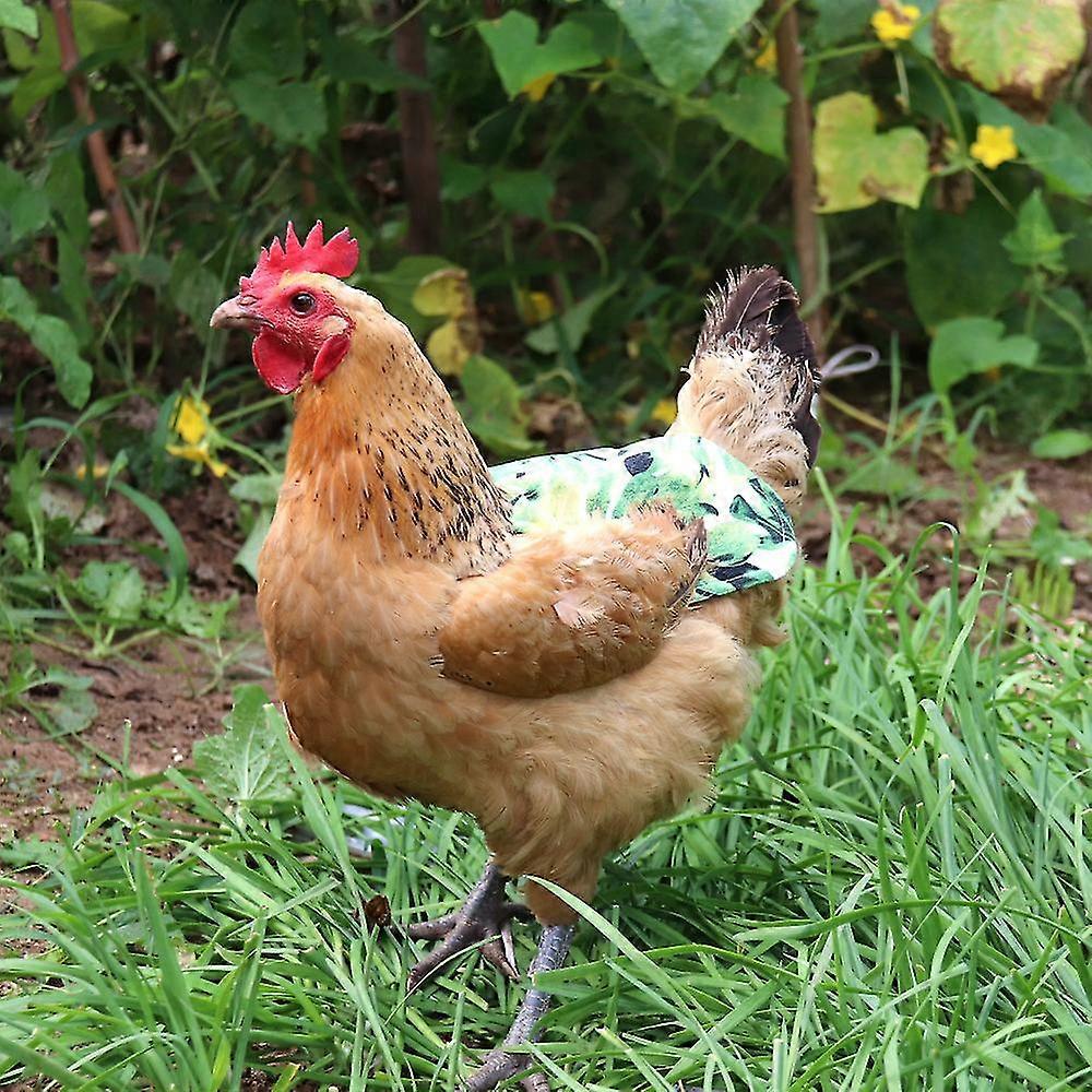 Chicken Saddles , Hen Aprons , Protector Apron For Poultry, Poultry ...