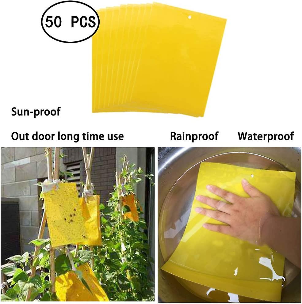 50 Insect Traps, Double Sided Sticky Paper, Yellow Sticky Papers For ...