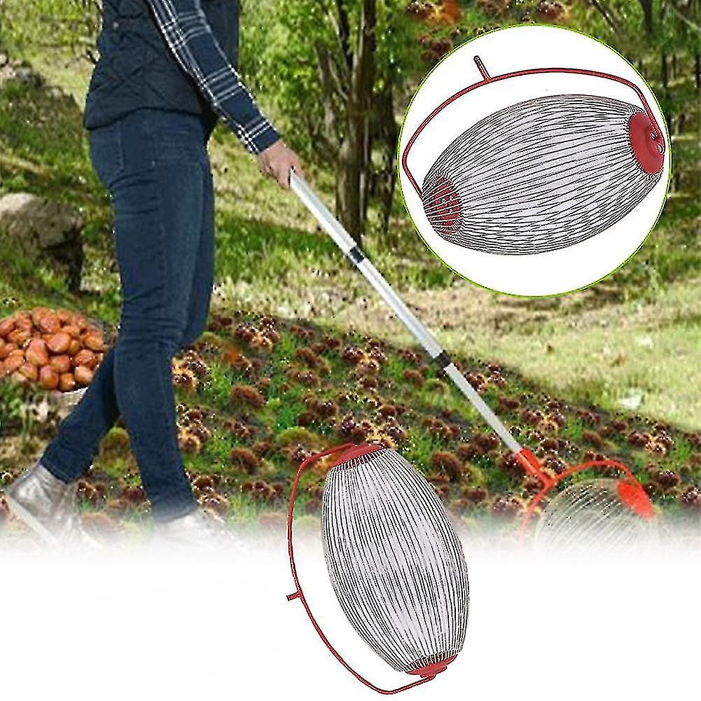 Nut Collector Portable Ball Picker Walnut Harvester With Telescopic 18. ...