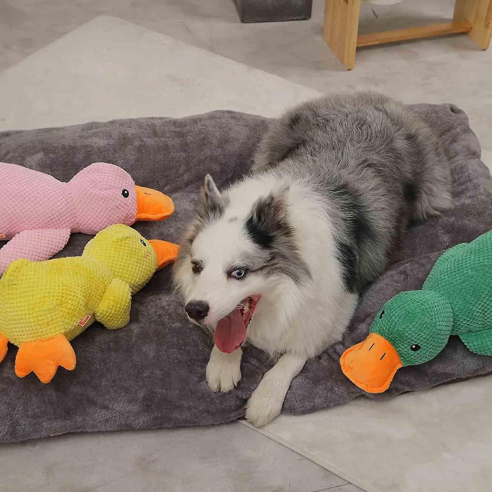 Quack Duck Dog Toy, Plush Dog Toy, Quacking Duck Toy For Dog With Real ...