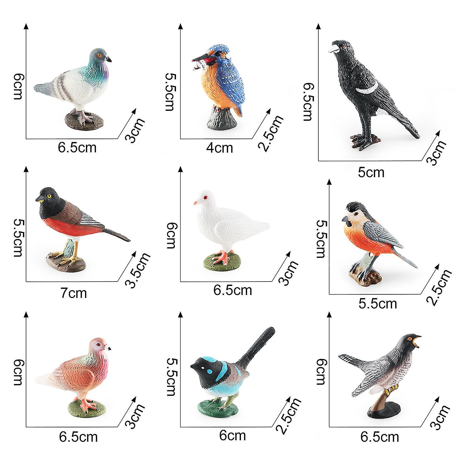Feather Animal Model Simulated Magpie Pigeon Cuckoo Blue Wren Rusty ...
