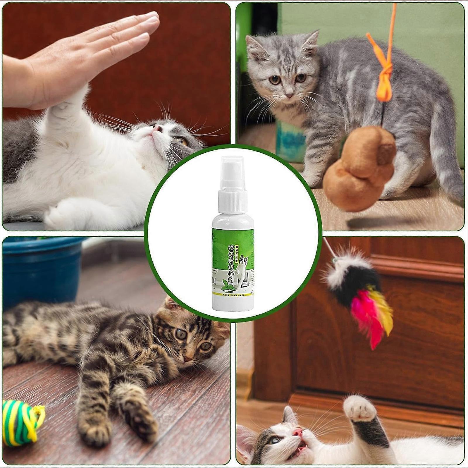 Catnip Spray, Cat Calming Spray, Natural Cat Spray Used for Cat Play ...