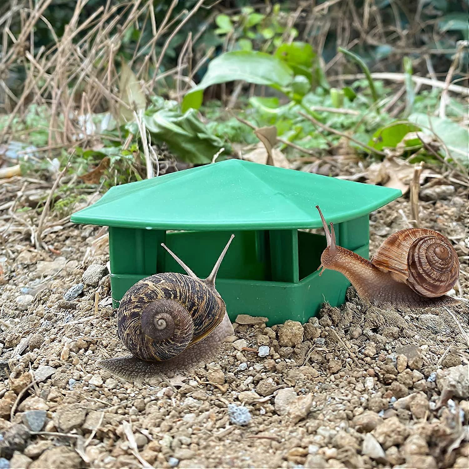 6pcs Natural Snail Traps, Beer Traps, Snail Slug Traps, Green Eco ...