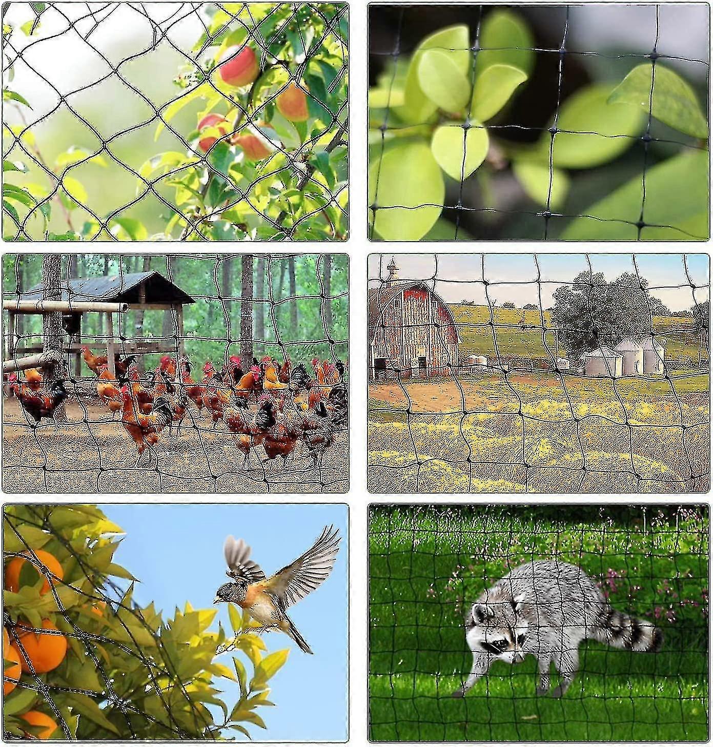 15m X 15m Bird Protection Net Bird Net Plant Net Pond Net Garden Net For Garden,5 X 5 Cm Large ...