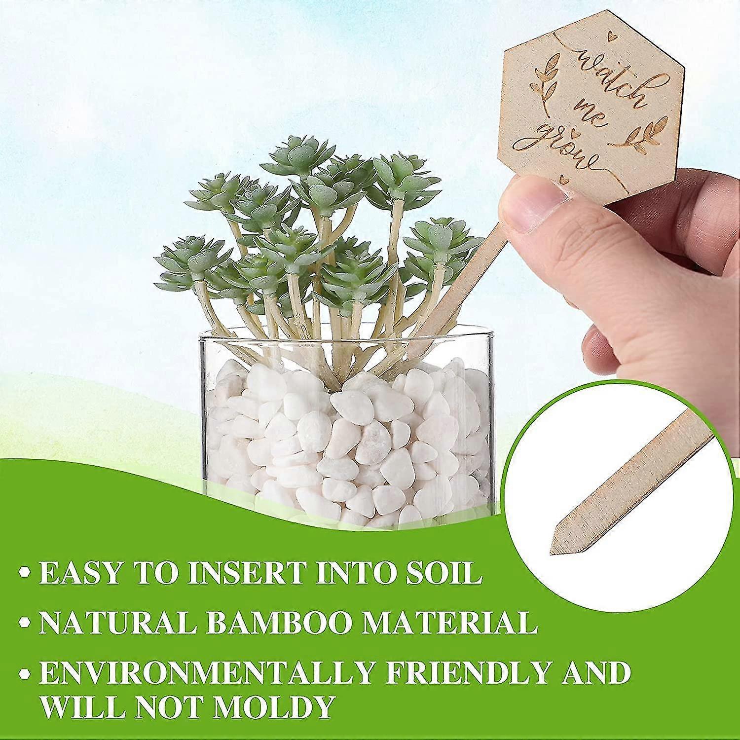 36 Pieces Watch Me Grow Succulent Tags Thank You For Helping Me Grow ...