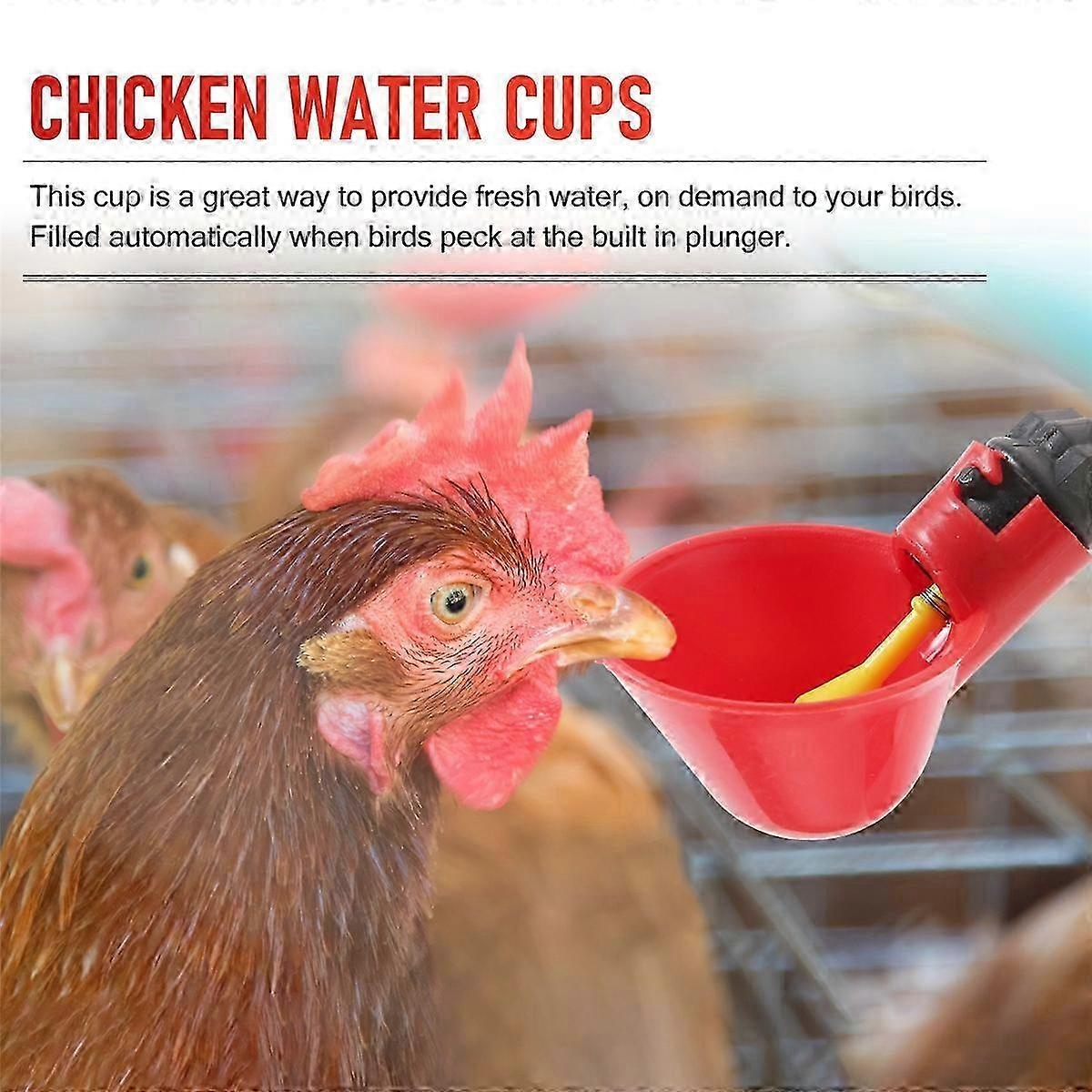 24Pcs Feed Automatic Bird Coop Poultry Chicken Fowl Drinker Water ...