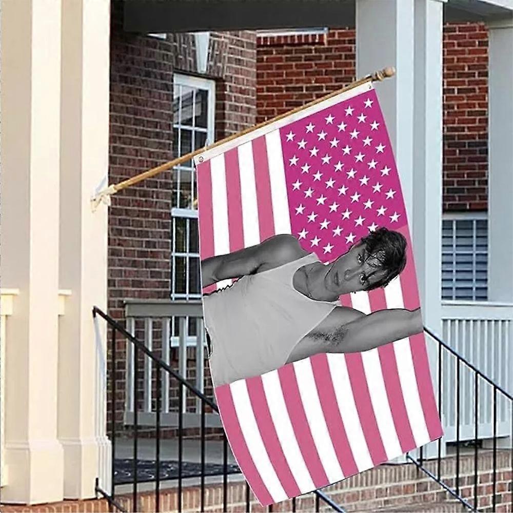 Nicholas Chavez Flag Funny,Alexander Pink Flag for-Wall Hanging poster-flag 3x5 Ft | Fruugo UK