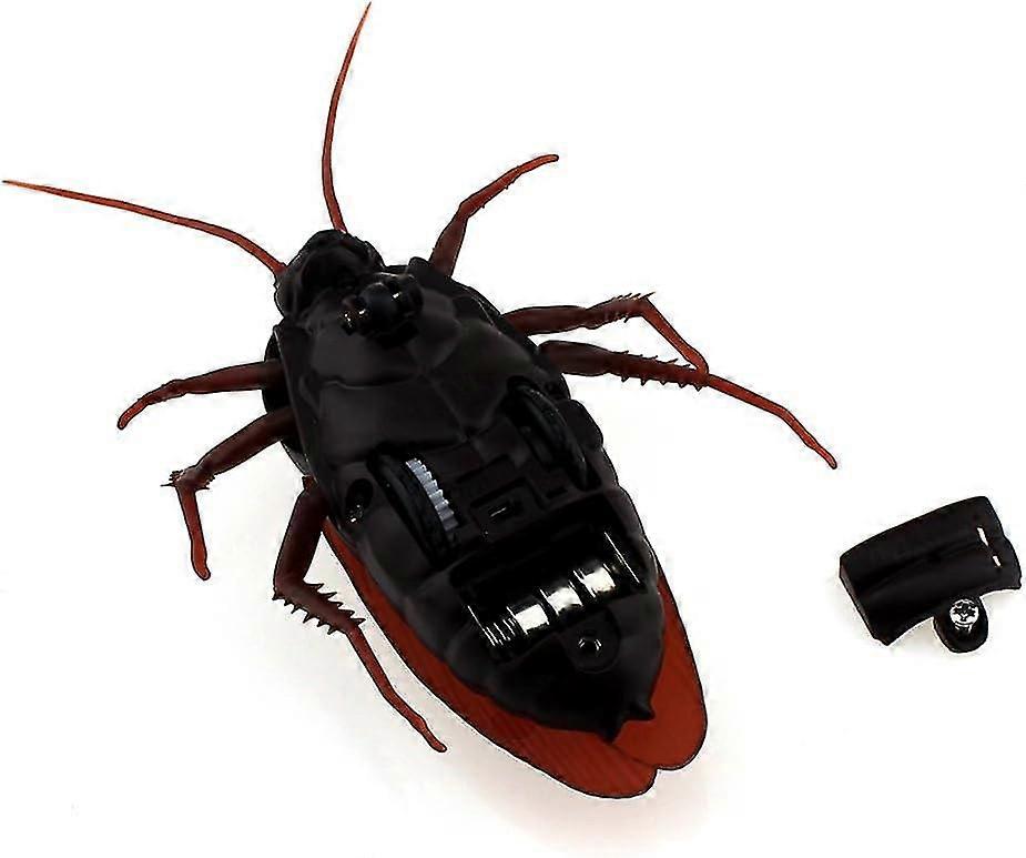 Rc Cockroach Remote Control Car Vehicle Animal Toys Electronic ...