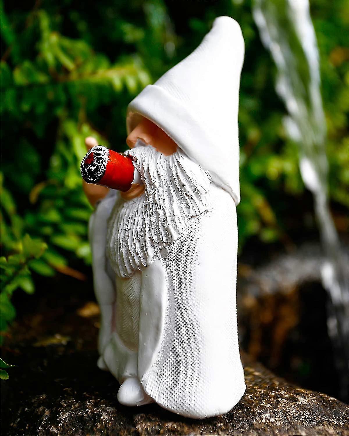 Middle Finger Figurine, Naughty Smoking Wizard Gnome, 5.9 Inch Gnomes ...