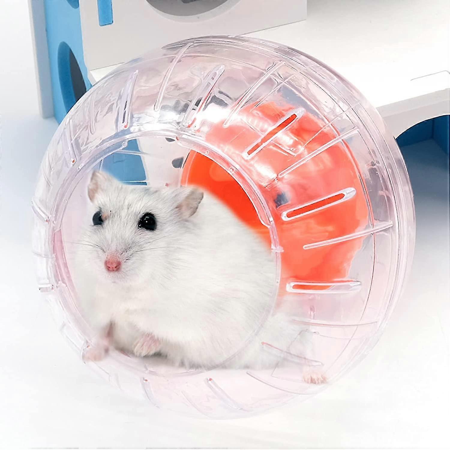 Hamster Running Balls, Small Animal Exercise Balls, Transparent Hamster ...