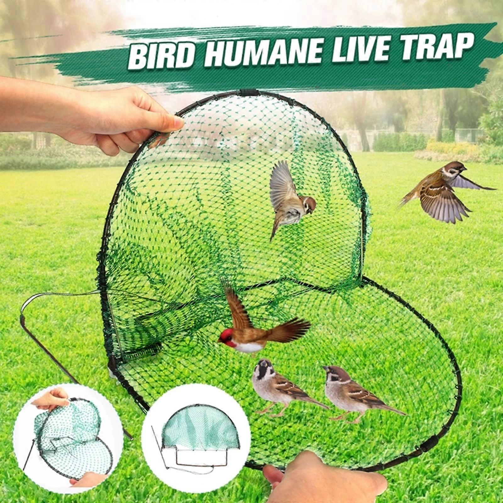 Steel Frame Bird Trap Net - Effective Quail Catcher - 30cm Green Mesh ...
