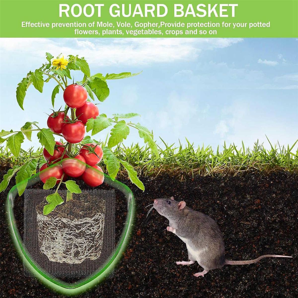 Plant Root Guard Baskets Wire Basket Mole and Vole Mesh Wire Baskets ...