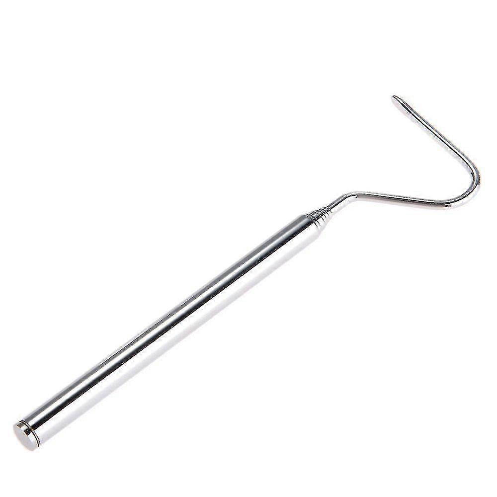 2pcs Stainless Steel Extensible Snake Hook Retractable Reptile Hook For ...